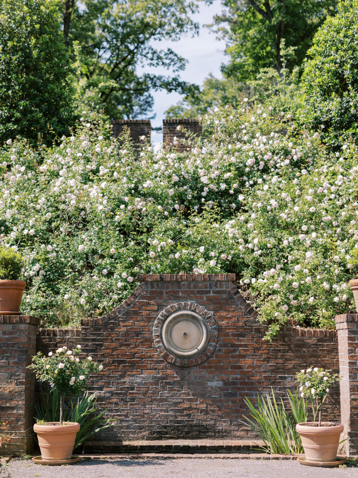 Sarah Katherine & Samuel // Moss Mountain Farm Engagement | Emma Farr ...