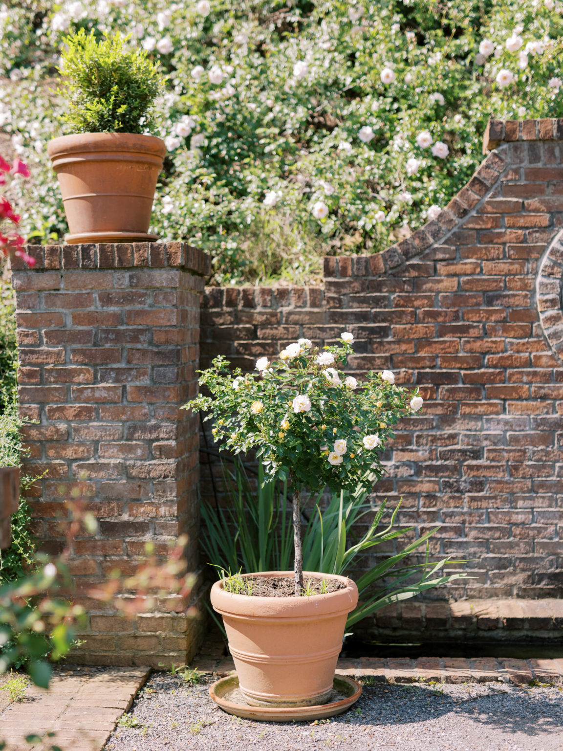 Sarah Katherine & Samuel // Moss Mountain Farm Engagement | Emma Farr ...