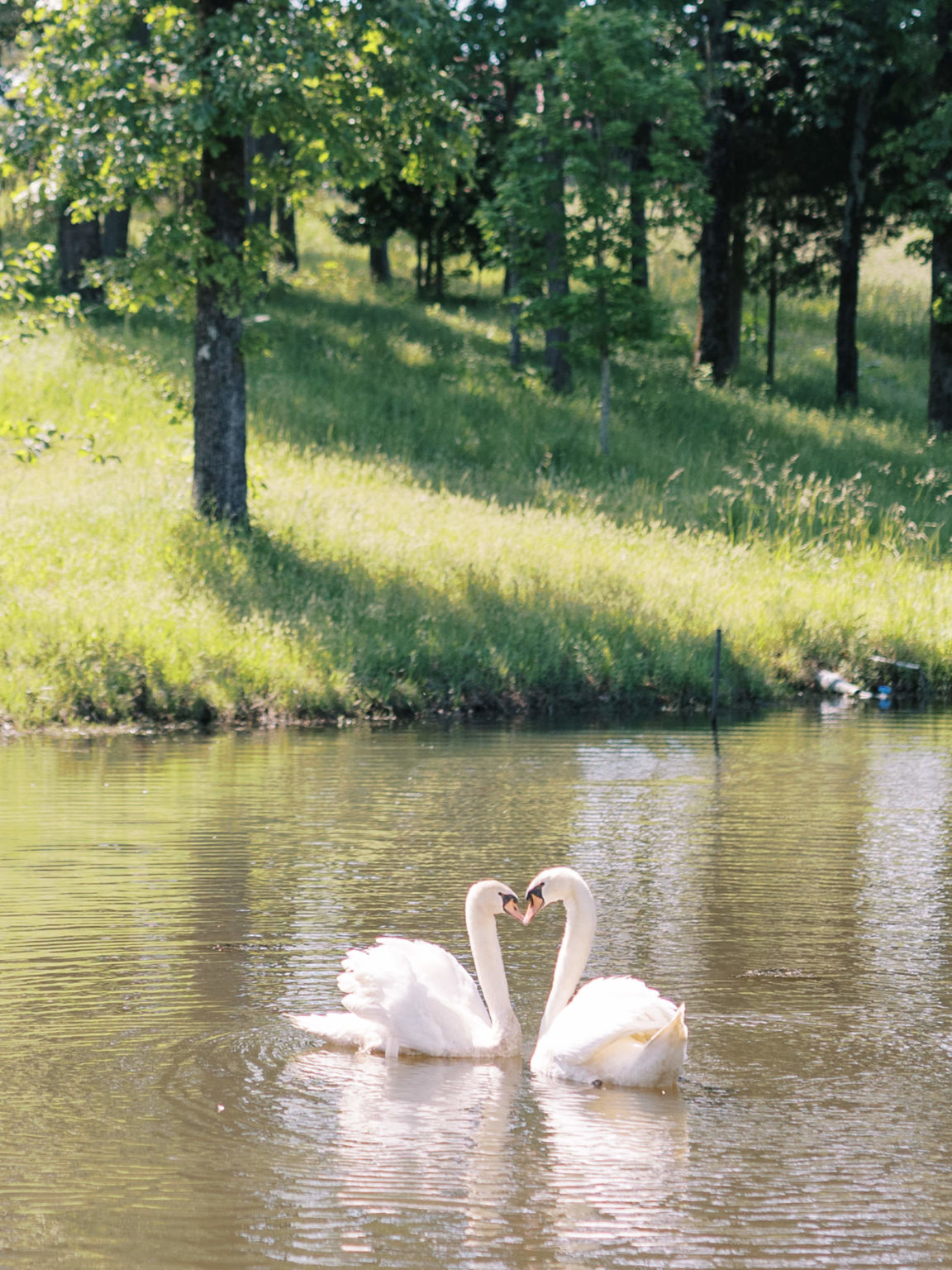 Sarah Katherine & Samuel // Moss Mountain Farm Engagement | Emma Farr ...